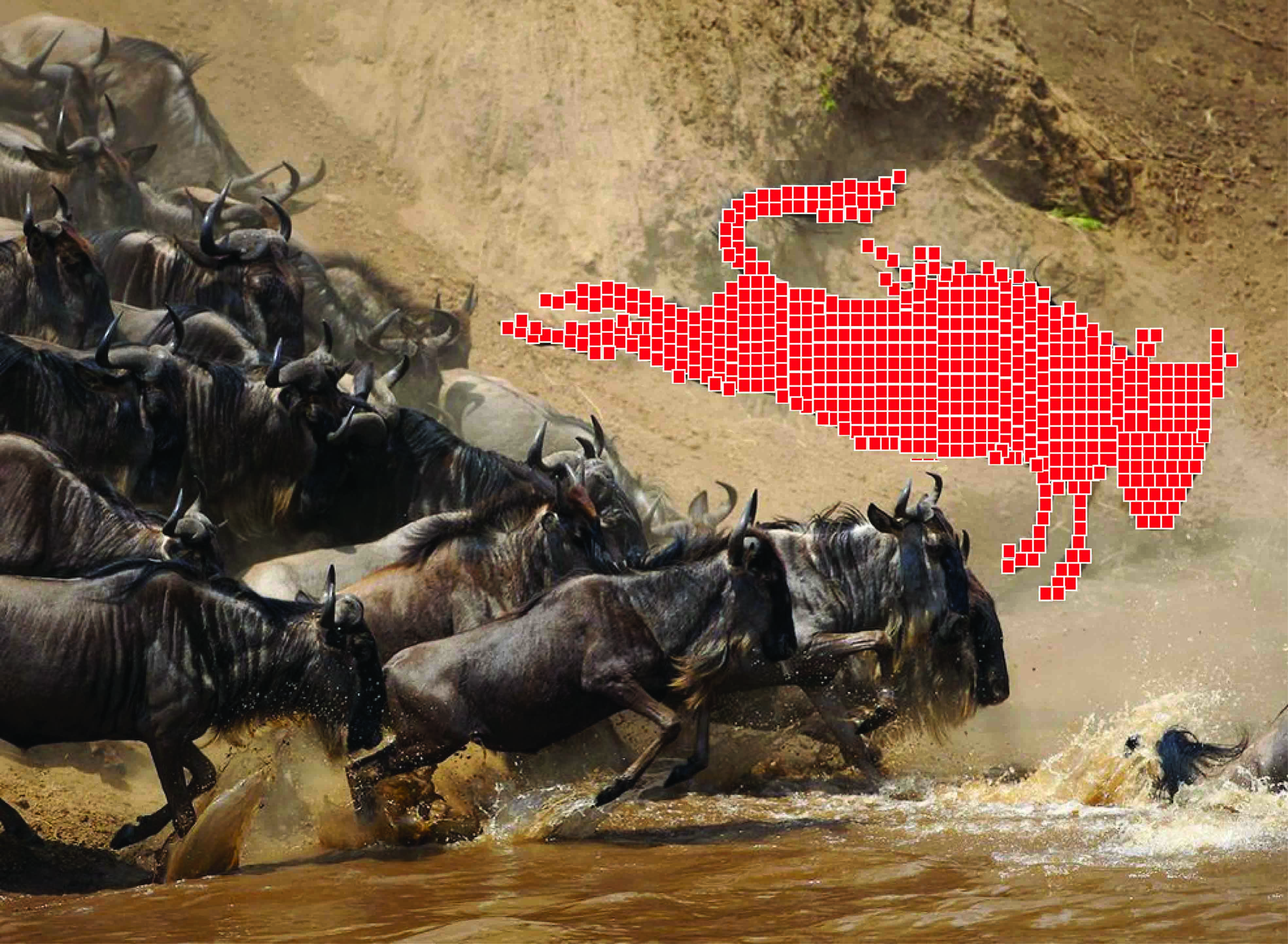 Douglas J. McCauley - UC Santa Barbara